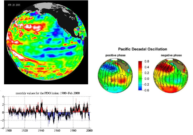 Pacific decadal oscillation (PDO) | Ocean Surface Topography from Space